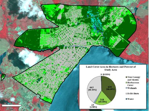 2008 Land Cover In Altamira Based On Quickbird Classification