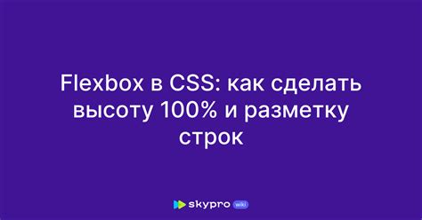 flexbox в css как сделать высоту 100 и разметку строк