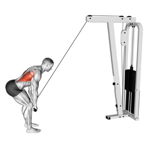 Standing Cable Lat Pulldown Techniques Form And Tips 2026