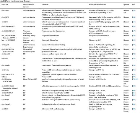 Table 1 From Expanding Roles Of Circrnas In Cardiovascular Diseases Semantic Scholar