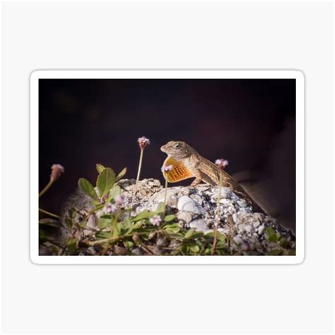 Lizard Sticker For Sale By Zinastromberg Redbubble