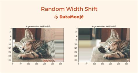 Guide To Image Augmentation From Beginners To Advanced Datamonje
