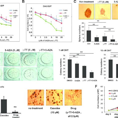 All Pca Cellstumor Tissues Contain Stemprogenitor And Download Scientific Diagram