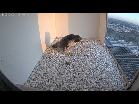 9 F8 Ac4 Ee 832 D 474 C 99 D9 07 Da0 B4 Ea8 Eb — Postimages