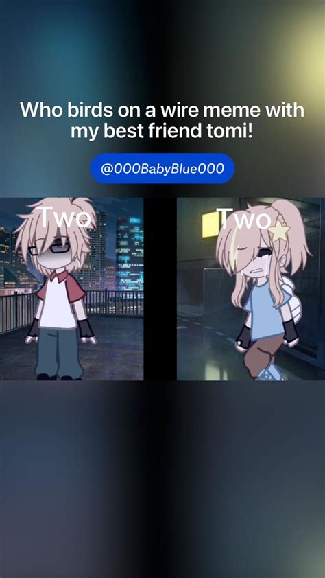 Who Birds On A Wire Meme With My Best Friend Tomi Two Birds On A