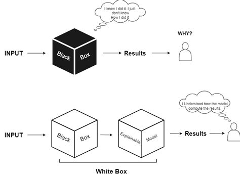Unmasking The Predictions Understanding Cataract Detection Through