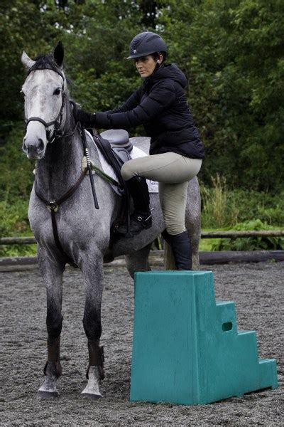 4 Step Mounting Block Jsw