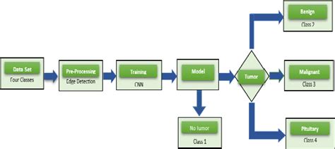 Figure 1 From A Multimodel Accurate Classification Of Brain Tumor Based