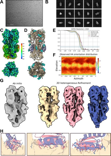 De Novo Design Of Protein Structure And Function With Rfdiffusion Pubmed
