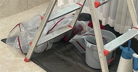 두 분이서 오셔서 빠르고 깔끔하게 청소해주셨어요 다음번에도 이용할 생각입니다 감사합니다 ๑˃̵ᴗ˂̵و 숨고 숨은고수