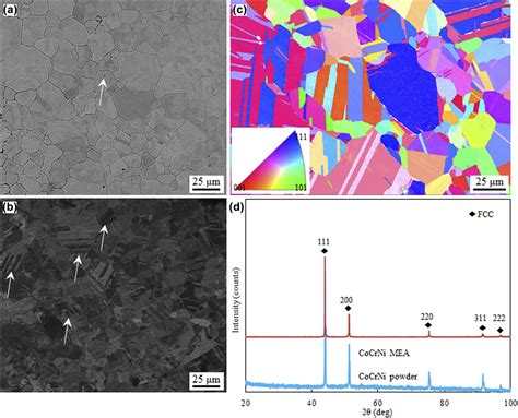 Microstructure And Properties Of Cocrni Medium Entropy Alloy Produced By Gas Atomization And