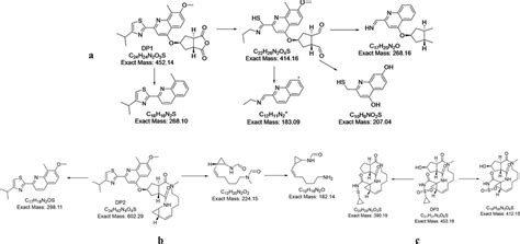 fragmentation pathway of a dp 1 b dp 2 and c dp 3 download