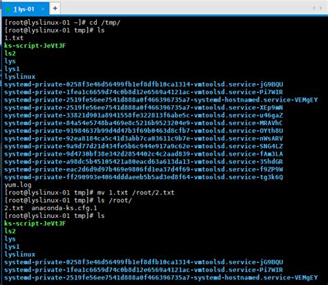 环境变量path、cp命令、mv命令 Csdn博客