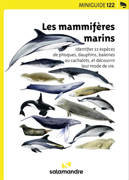 Miniguide 122 Les Mammifères Marins E Librairie Forêtnaturesalamandre