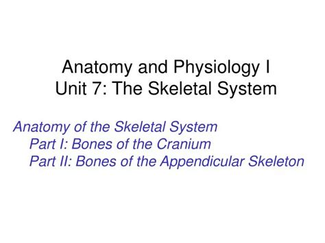 PPT Anatomy And Physiology I Unit 7 The Skeletal System PowerPoint Presentation ID 354850