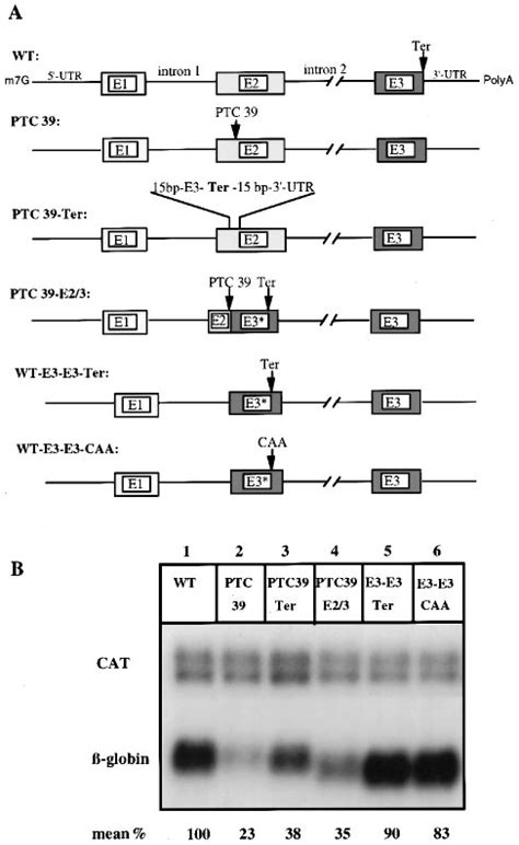 sequence context does not exert a dominant influence to distinguish
