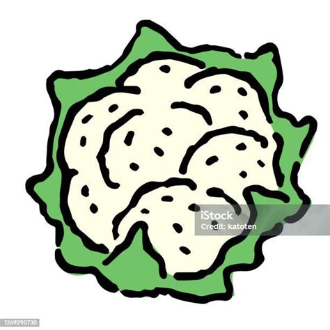 콜리플라워 그림 잉크와 브러시로 손으로 그린 일러스트레이션과 같은 그림 건강한 식생활에 대한 스톡 벡터 아트 및 기타 이미지