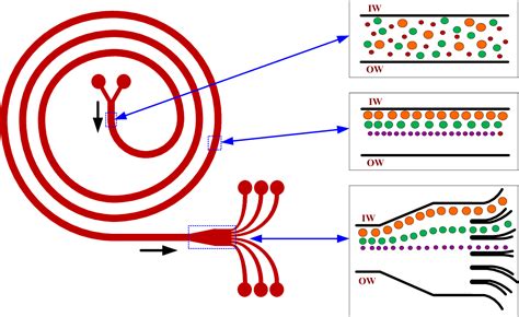 figure 9 from inertial microfluidics for continuous p