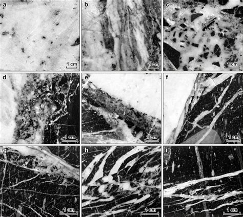 Types Of Ores In The Natalkinskoe Deposit A C Vein D F Streaky Vein