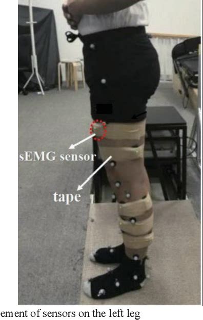 Figure 1 From A Novel Metric Based On Bootstrapping Approach For Semg Signal Quality Assessment