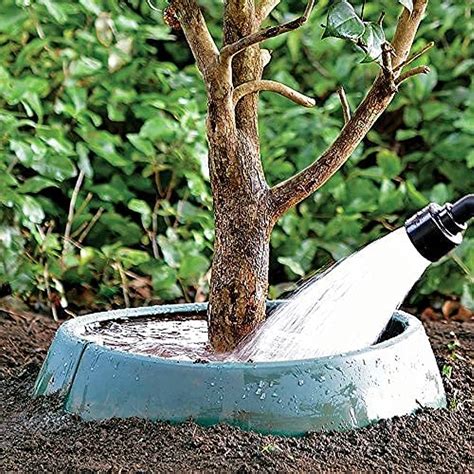 DEEP ROOT WATERING Autumn Tree Lawn Landscape