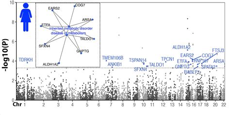 Home Michael Belloy Lab Washington University In St Louis