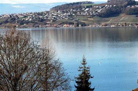 Imágenes De Lago De Morat Descarga Imágenes Gratuitas En Unsplash