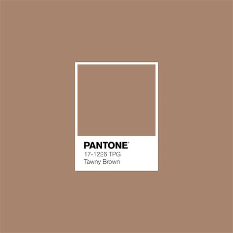 Pantone Tawny Brown Pantone Pantone Color Pantone Palette