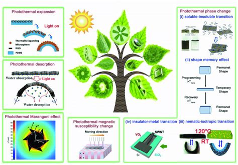 General Concept Of Carbon‐based Photothermal Actuators For