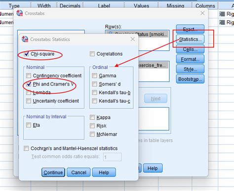 Chi Square Test Of Independence In Spss Explained Performing