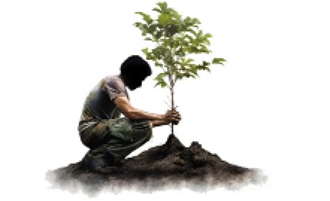 How Tree Planting Saved A Man After Retirement Youll Never Hit Rock