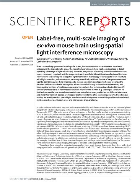 Pdf Label Free Multi Scale Imaging Of Ex Vivo Mouse Brain Using Spatial Light Interference