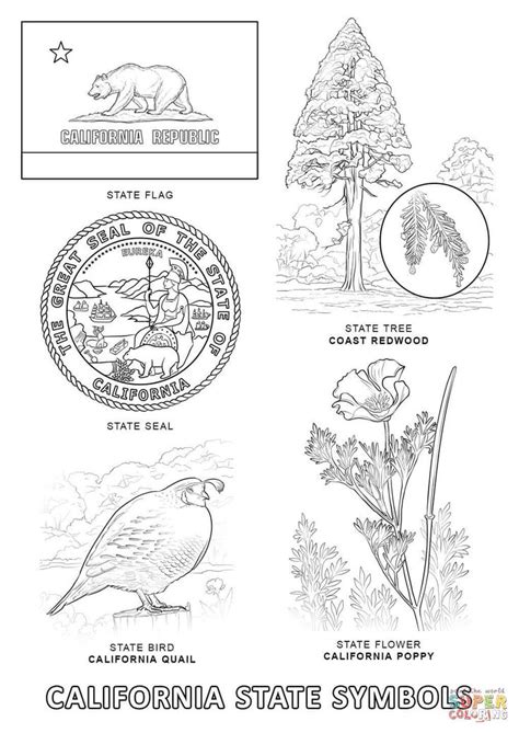 California State Symbols Coloring Pages [2025]