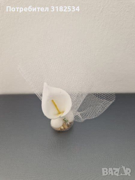 късметчета за сватба в Сватбени аксесоари в гр Димитровград Id40799437 — Bazar Bg