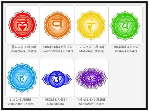 삼매선정의 열쇠 아나하타 차크라의 중요성 네이버 블로그