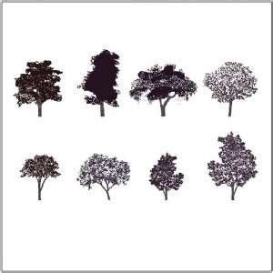 Trees In Elevation Free Dwg Cad Block Max Cad
