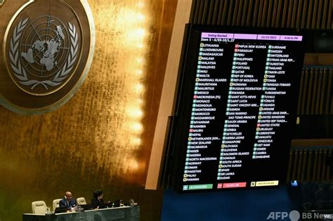 国連総会、ガザ停戦決議を採択 153か国が賛成 写真7枚 国際ニュース：afpbb News