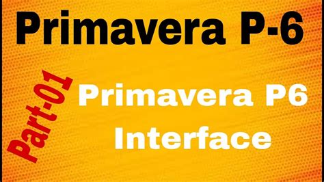 Primavera P6 Interface Primavera P6 Training Course In Urduhindi
