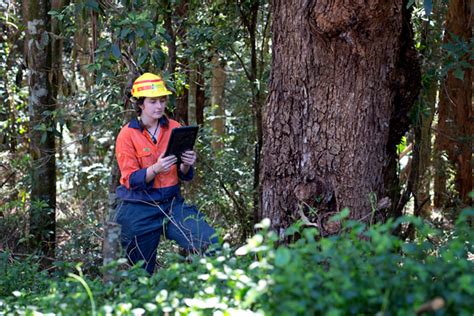 Forestry Corporation Stakeholder Engagement