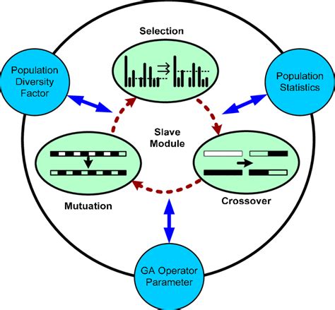 adaptive genetic algorithm ga model organization adapted from [203