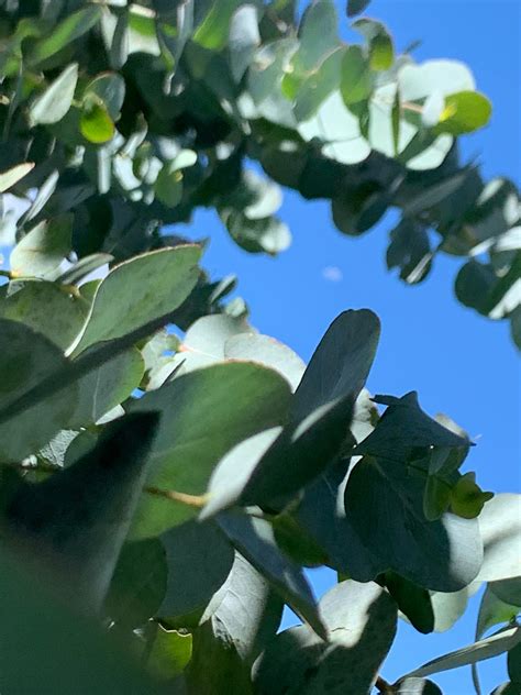 Daniel Pinto Fotografía