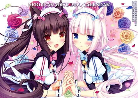 Nekopara Wallpapers Wallpaper Cave