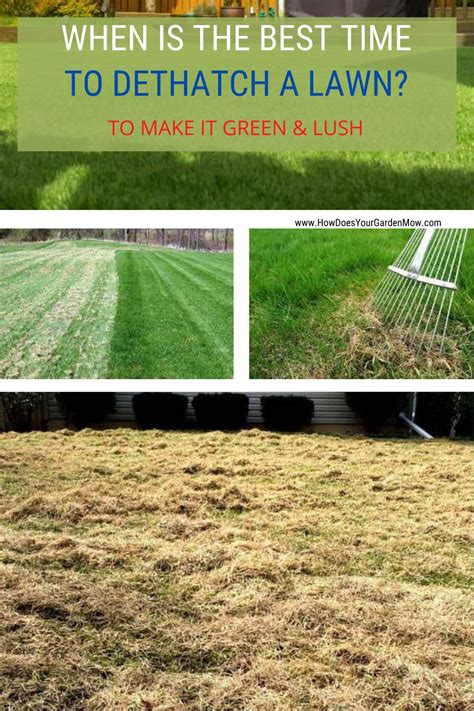 Maintaining A Beautiful Lawn When To Dethatch For Optimal Results