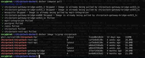 chirpstack v4 6 0 missing uplink info latest gw bridge chirpstack v4