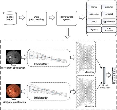 Figure 2 From Multi Label Classification Of Fundus Images With