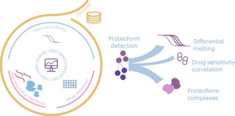 Ivan Cornella Taracido On Linkedin Deep Thermal Profiling For Detection Of Functional