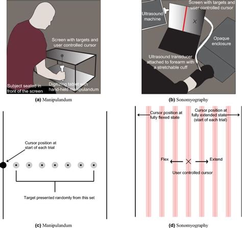 Shriniwas Patwardhan On Linkedin Using Principles Of Motor Control To Analyze Performance Of