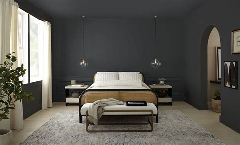 Colour Of The Year 2024 Cracked Pepper Behr Paint