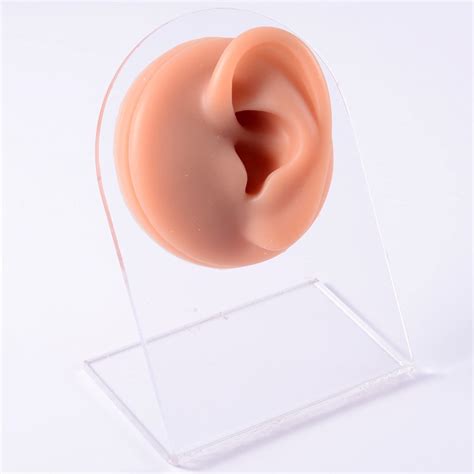 Silicone Acupuncture Model 11 For Jewelry Display And Teaching Tool